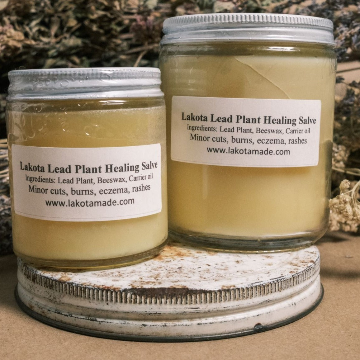 Lead Plant Salve 8 oz. | Herbal Pain Salves | Lakota Made